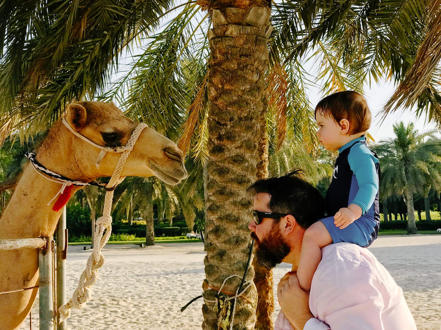 Use Etihad Guest miles to book your next hotel - A step by step guide ...
